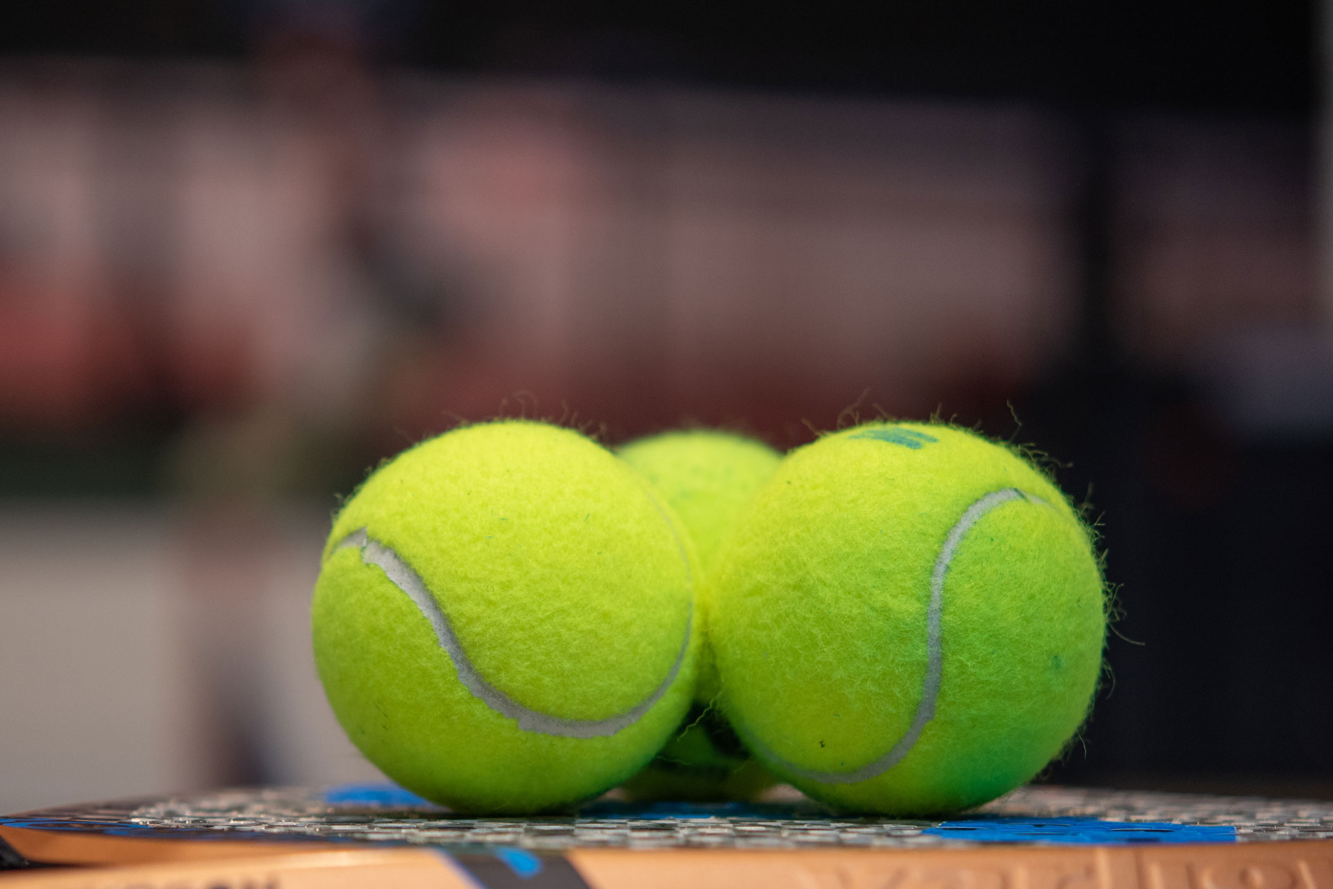 Best Padel Club in Benalmádena. Play Padel in Torremuelle Racket Center